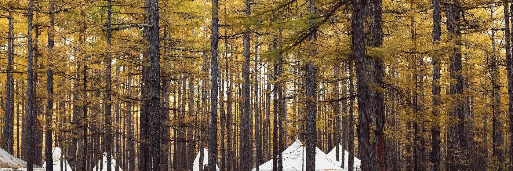 The best available hotels & places to stay near Evenk, China