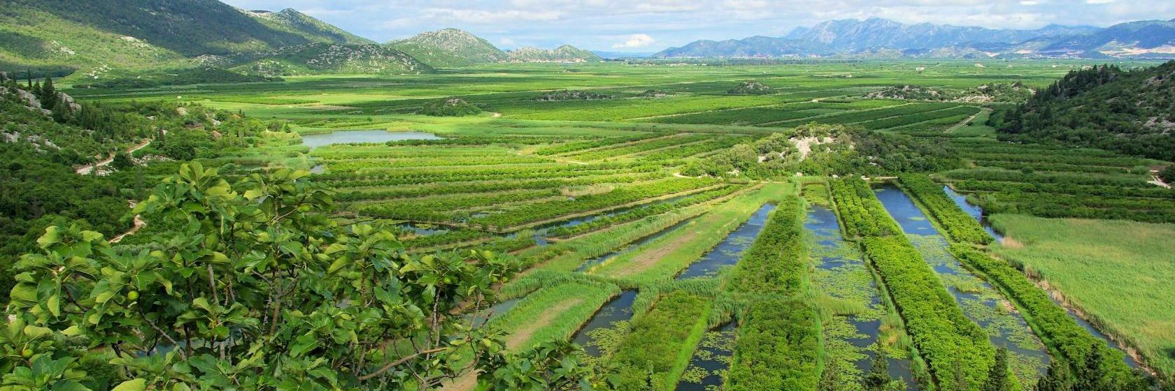 10 Best Opuzen Hotels, Croatia (From $81)