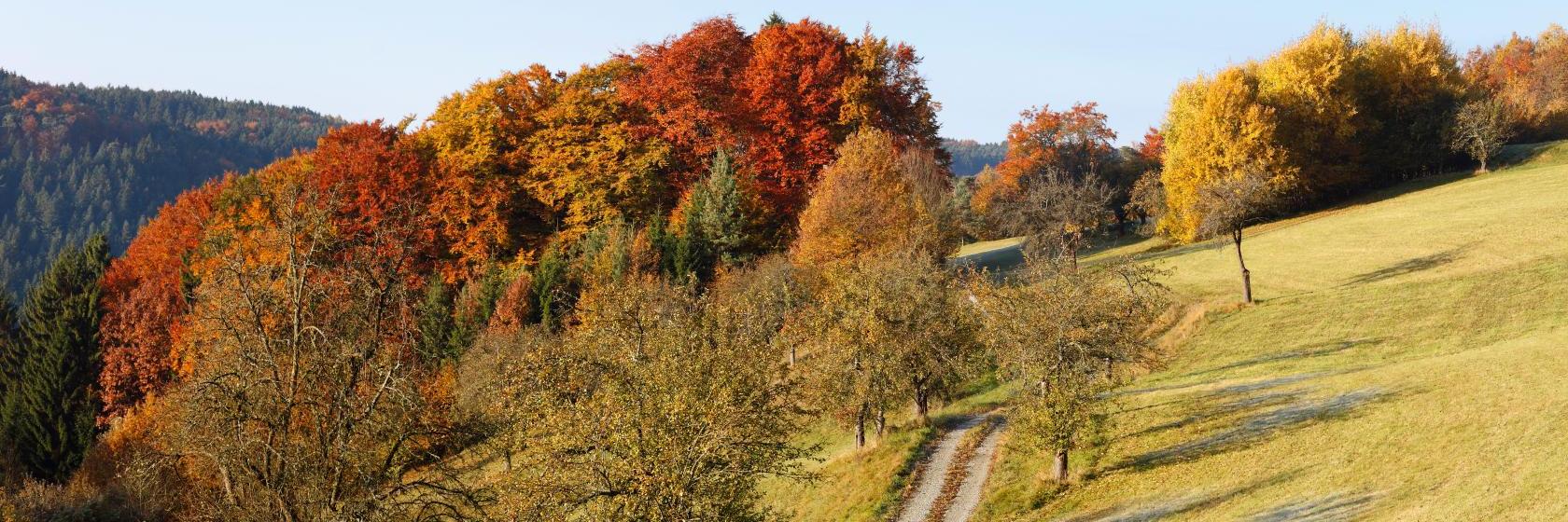 Die besten verfügbaren Hotels und Unterkünfte in der Nähe von Maria ...