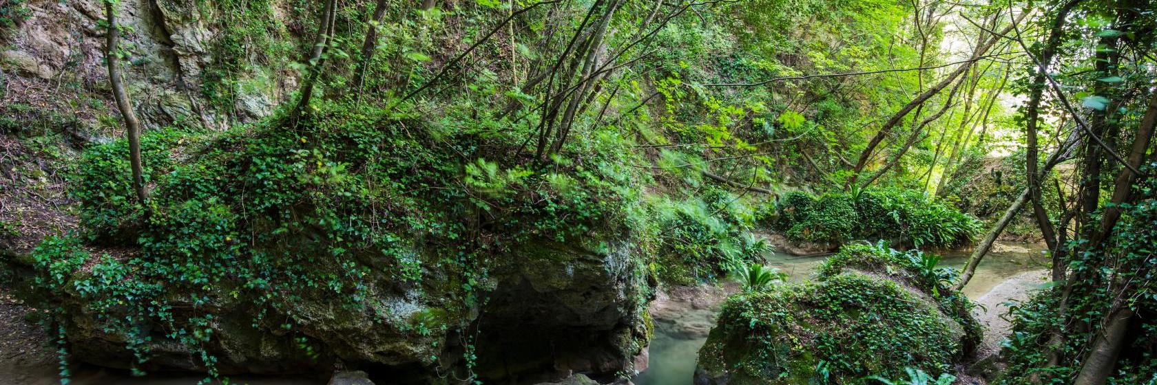 The best available hotels & places to stay near Pale, Italy