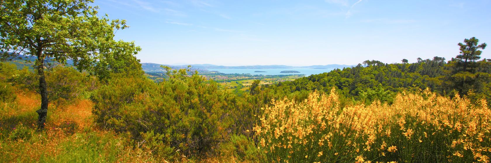 The best available hotels & places to stay near Terontola, Italy