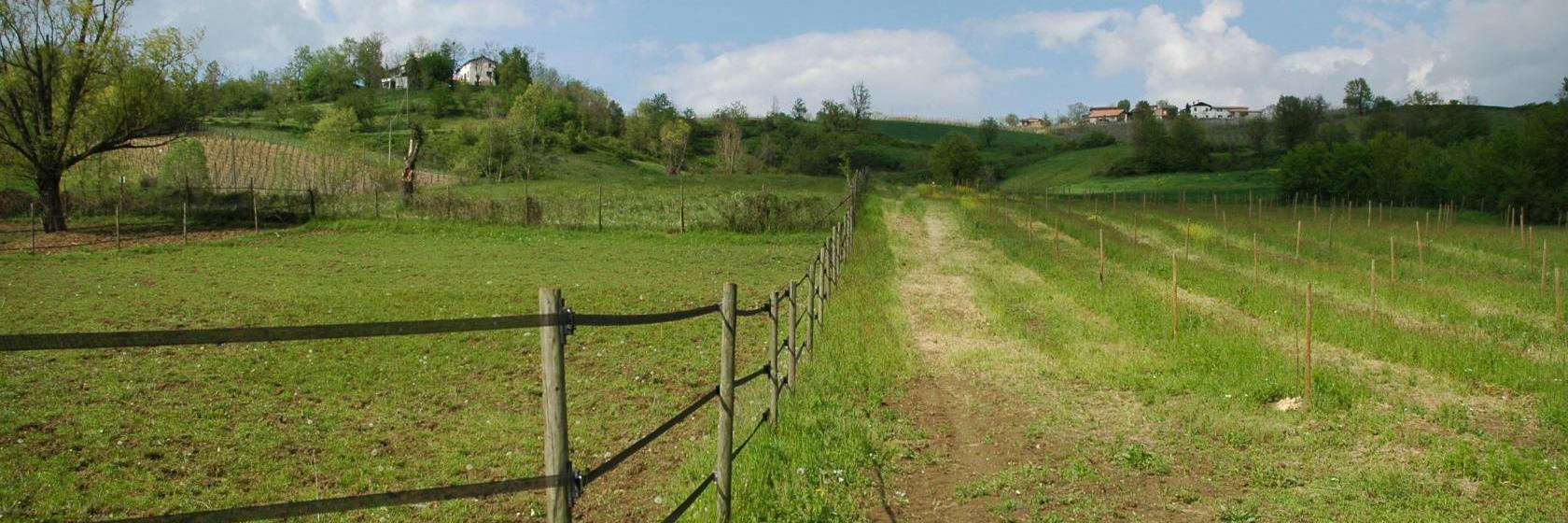 The best available hotels & places to stay near Stradella, Italy