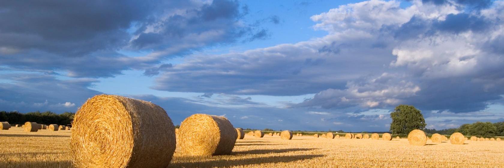 The best available hotels & places to stay near Hittfeld, Germany