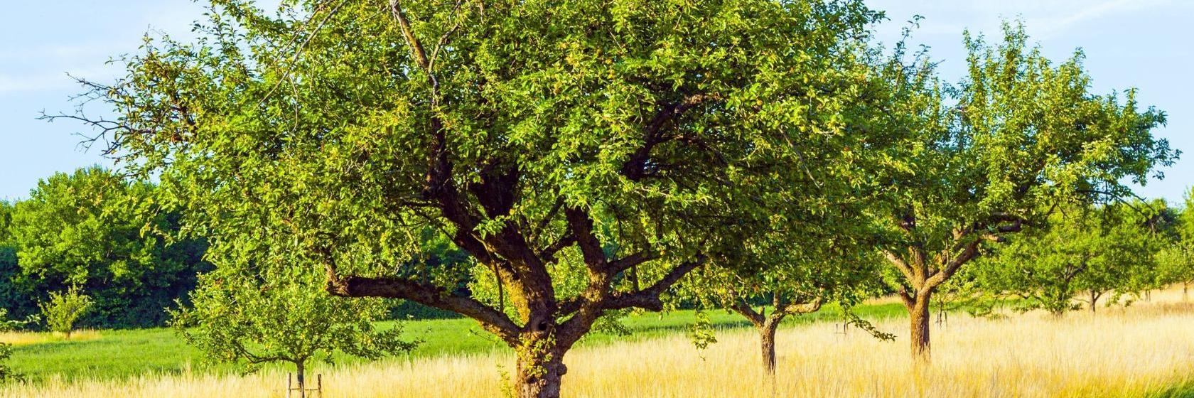 The 10 best hotels & places to stay in Lollar, Germany - Lollar hotels