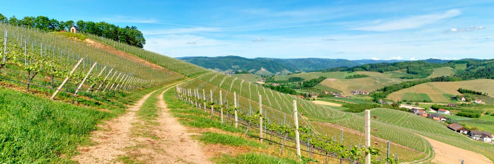 10 Best Bodenheim Hotels, Germany (From $46)