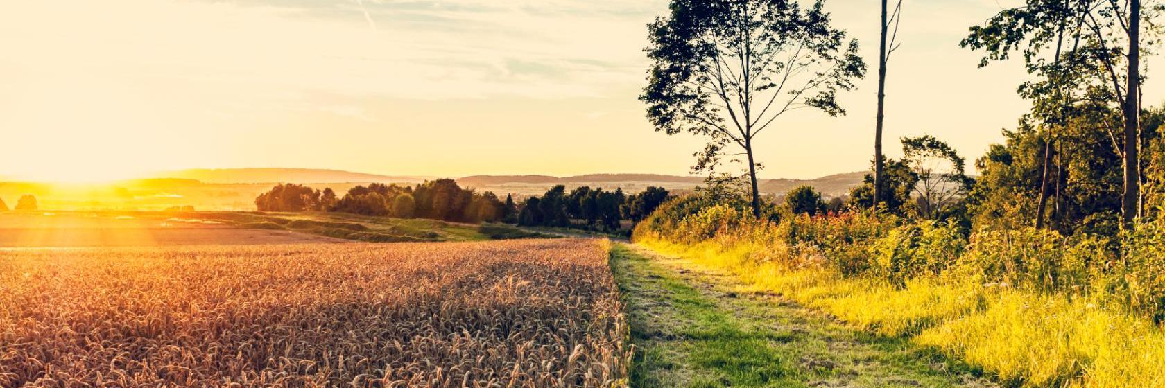 The 10 best hotels & places to stay in Grünberg, Germany - Grünberg hotels