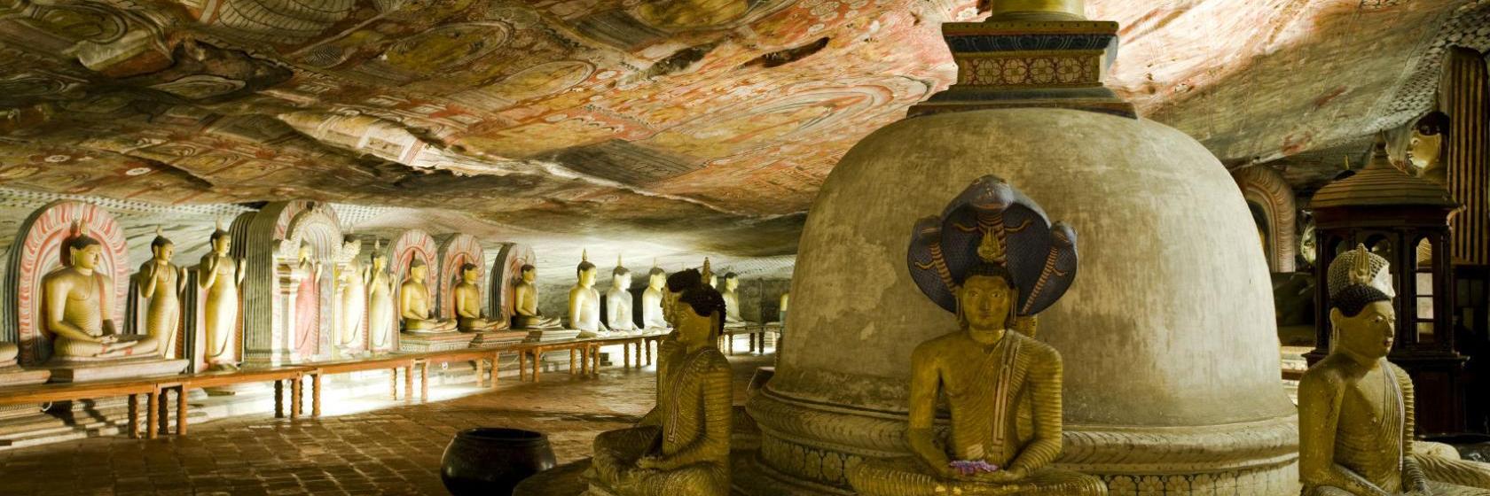 The 10 best hotels & places to stay in Dambulla, Sri Lanka - Dambulla ...