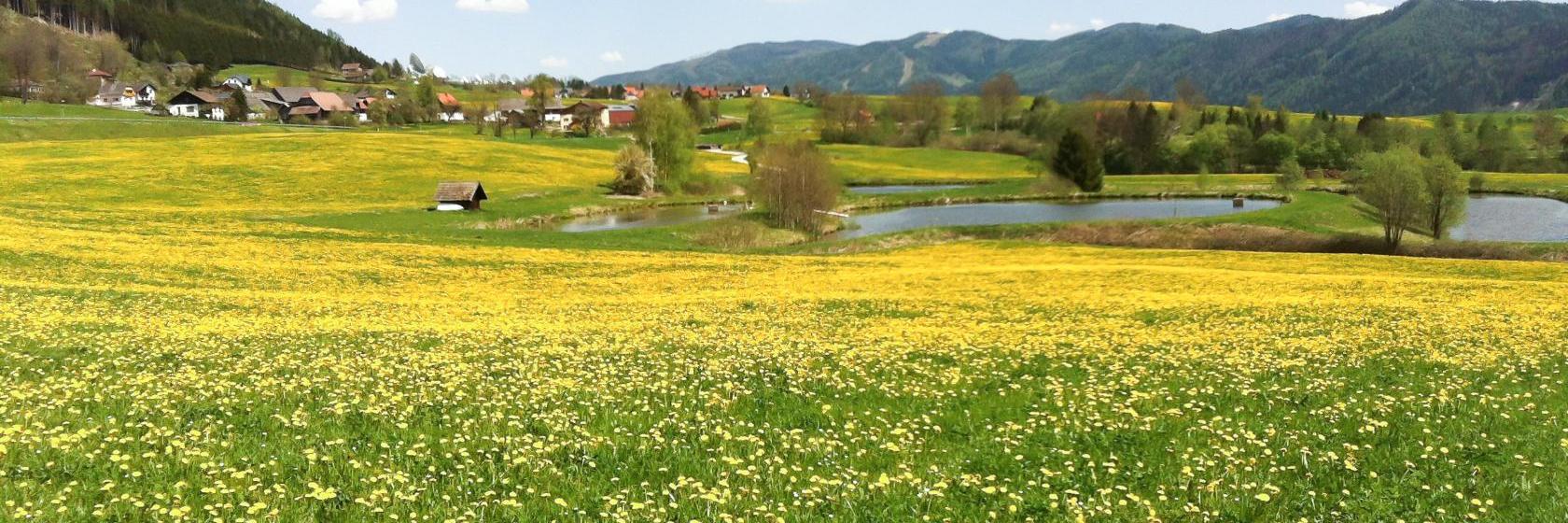 Die 10 besten Hotels in Aflenz Kurort, Österreich (Ab € 90)