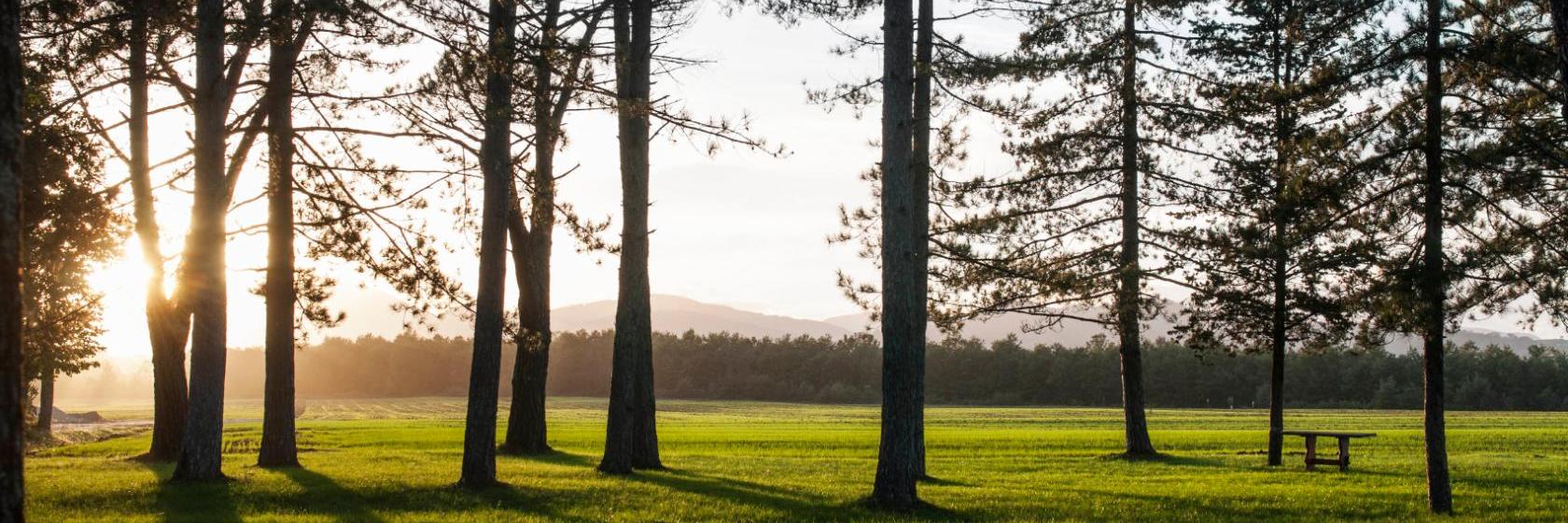 The best available hotels & places to stay near Ramuscello, Italy