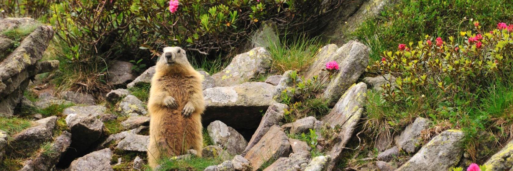 The best available hotels & places to stay near Bagni di Rabbi, Italy