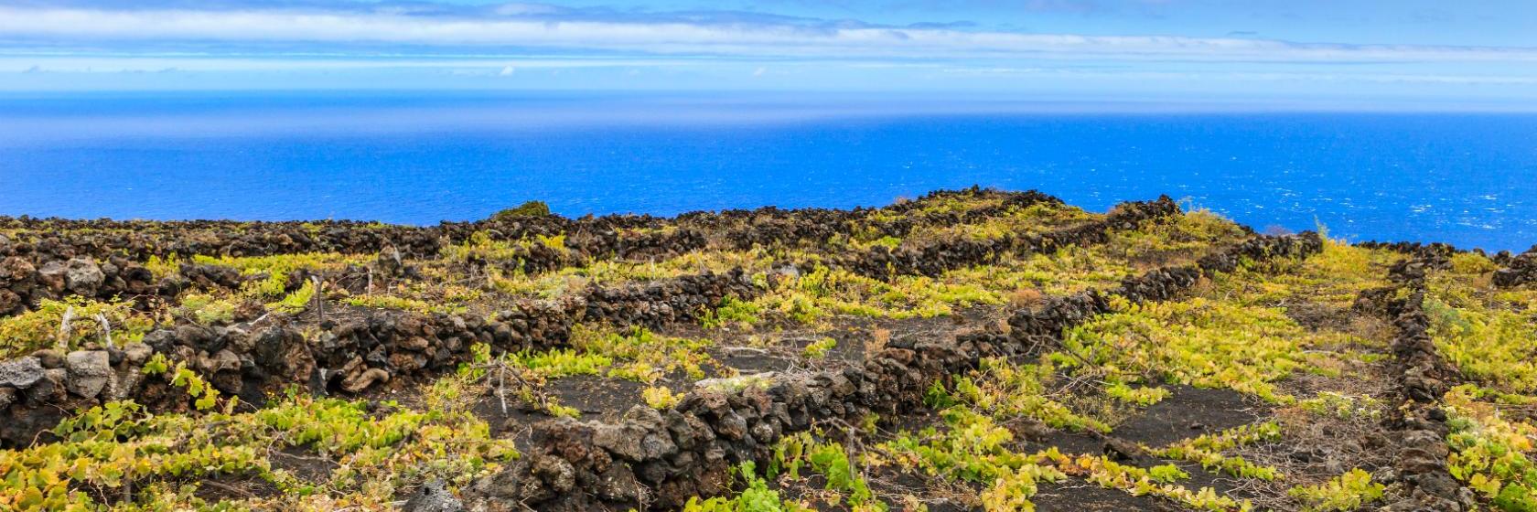 10 Best Garafía Hotels, Spain (From $63)