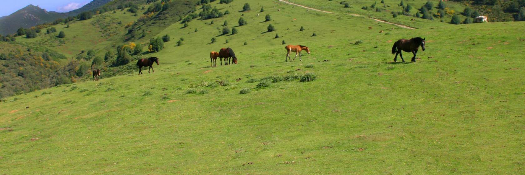 The 10 best hotels & places to stay in Nava, Spain - Nava hotels