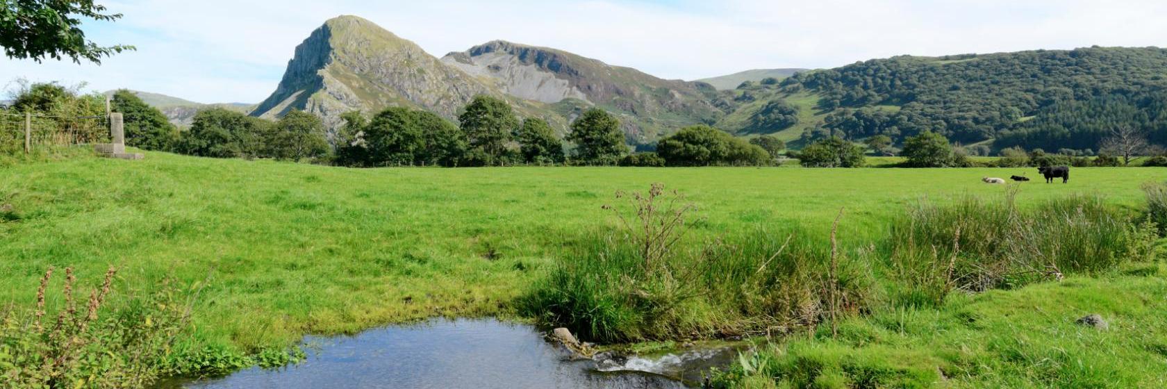 The 10 best hotels in Talsarnau, Gwynedd - Cheap Talsarnau hotels