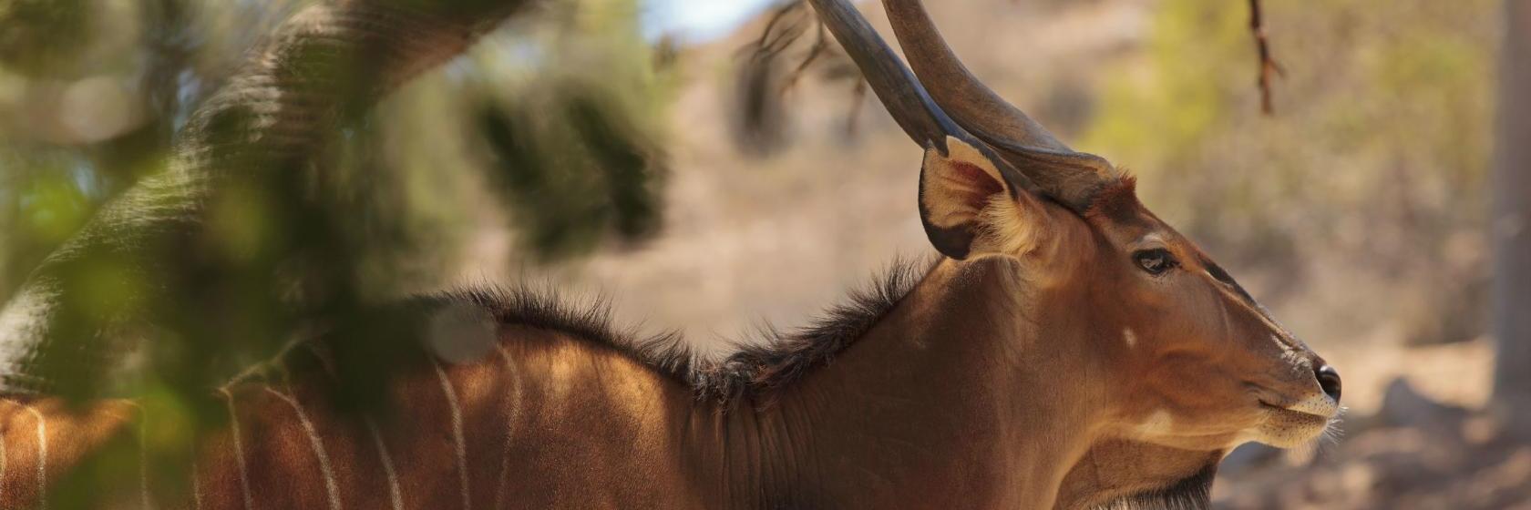 Hoteles baratos cerca de Mapara, Camerún - Dónde dormir cerca de Mapara