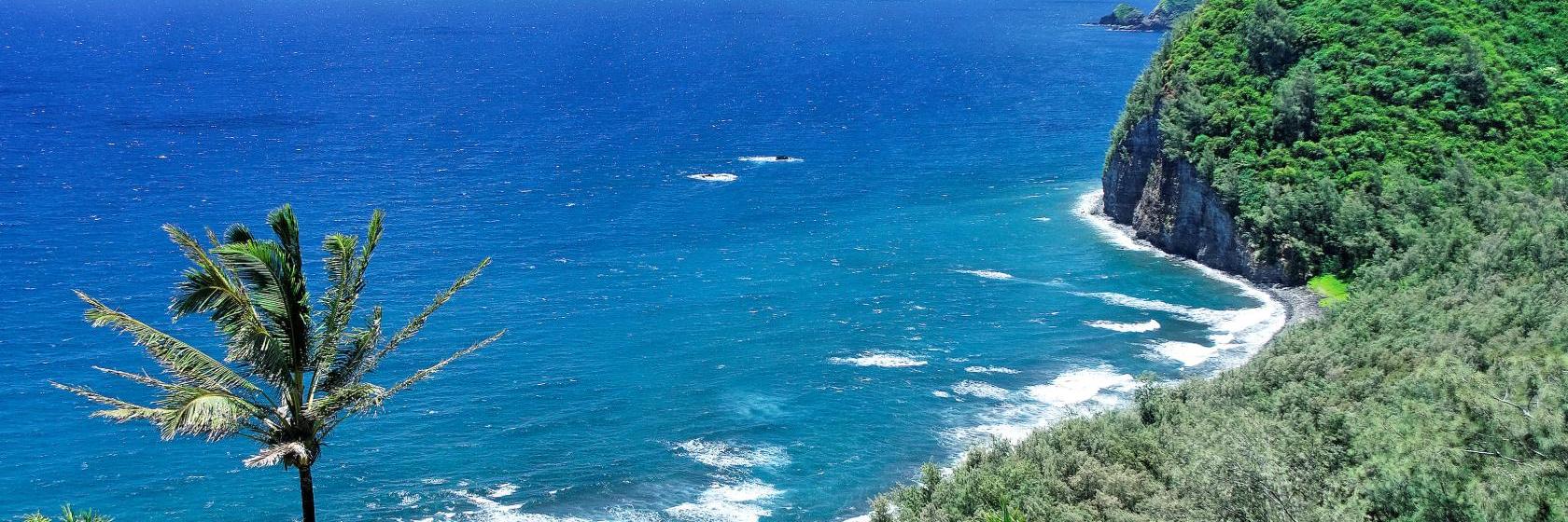 The best available hotels & places to stay near Kapaau, HI