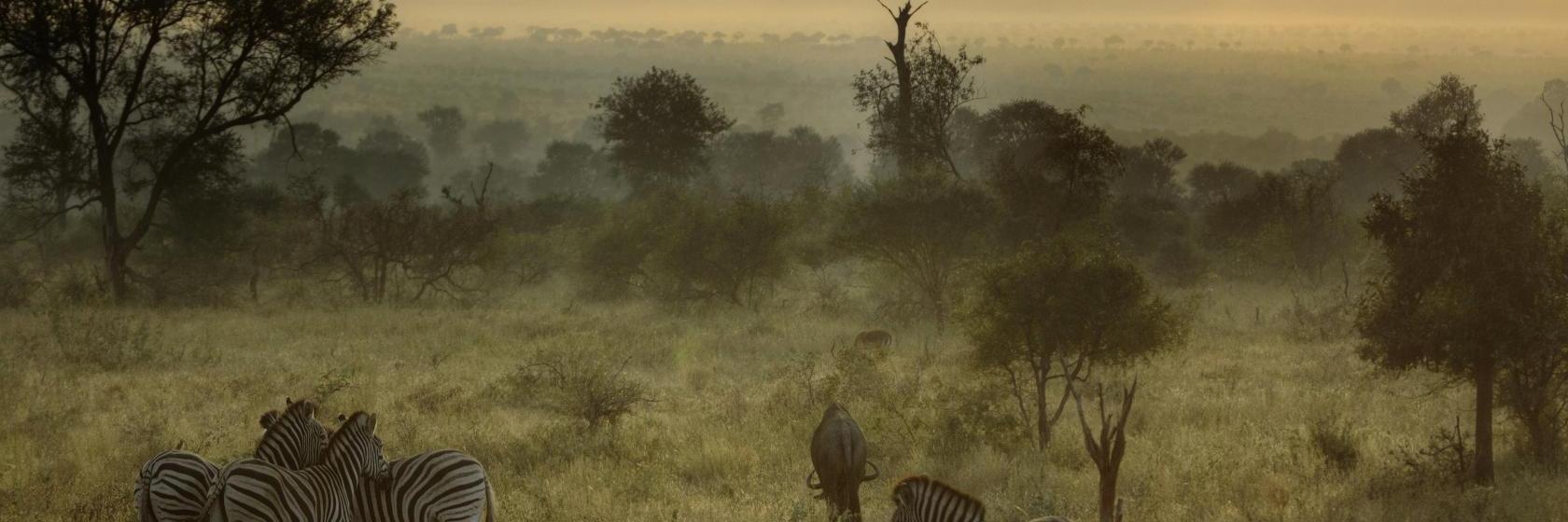 The best available hotels & places to stay near Orpen Gate, South Africa