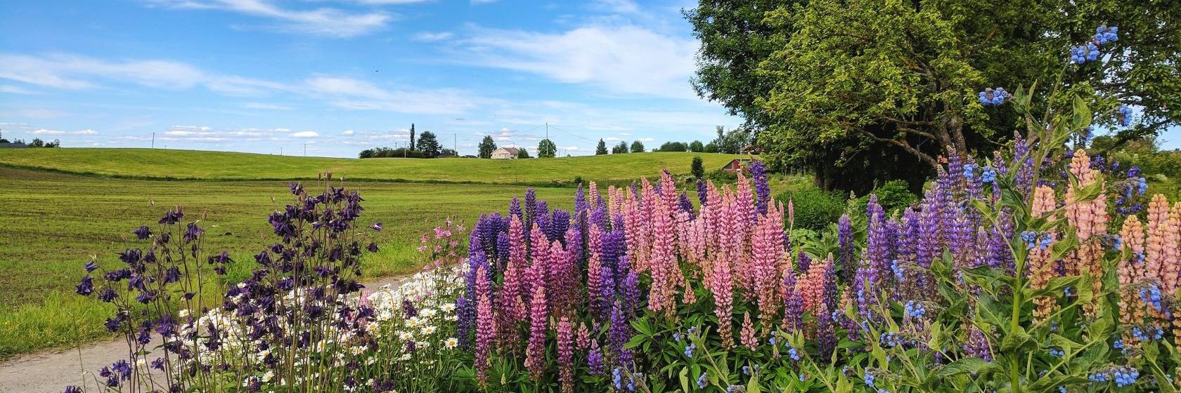 The best available hotels & places to stay near Stange, Norway