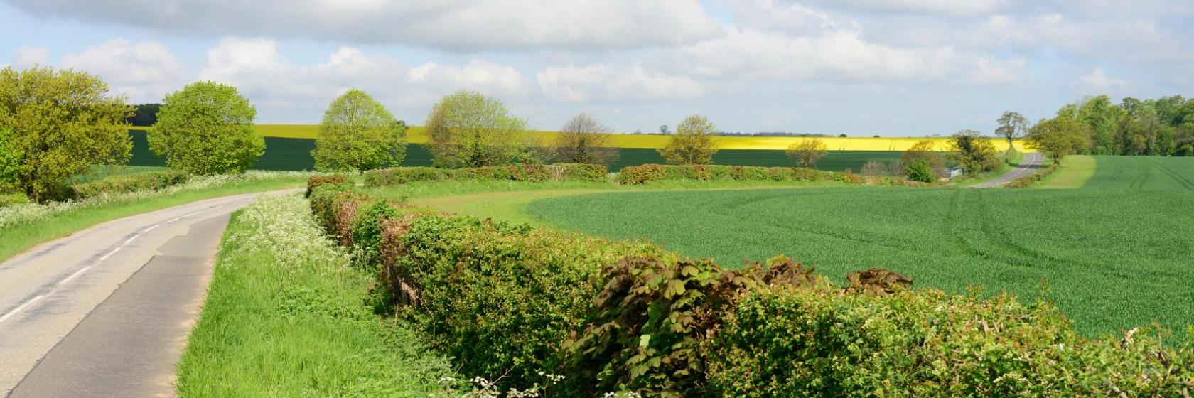 The best available hotels & places to stay near Hundon, United Kingdom