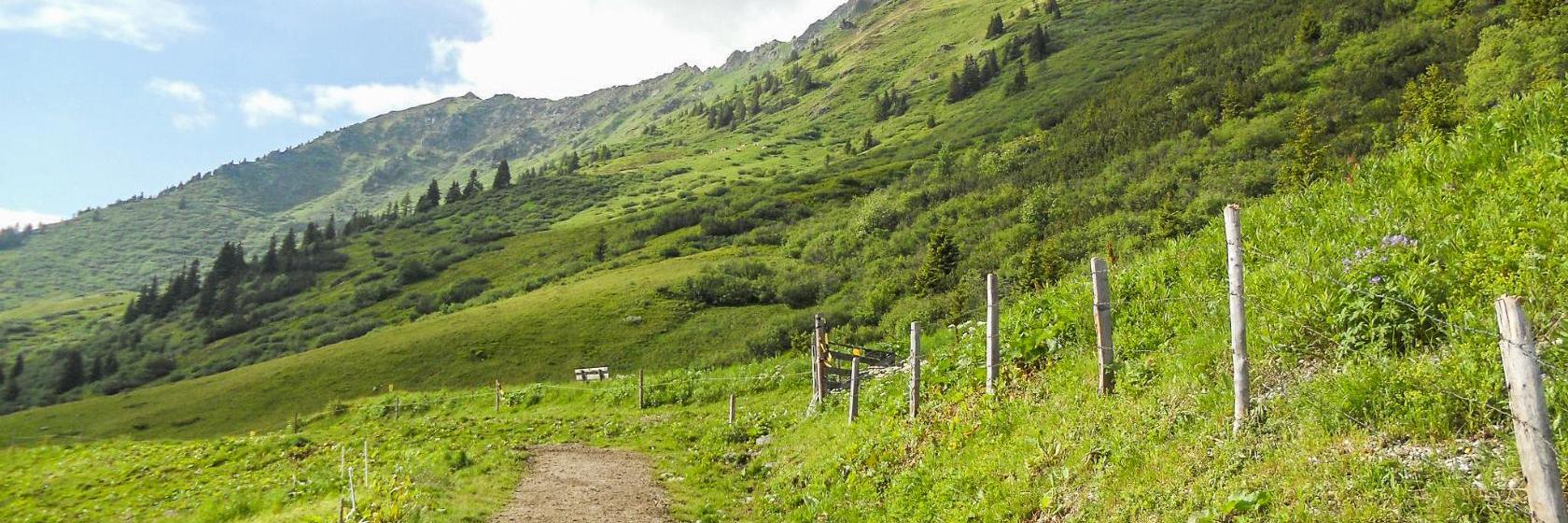 Die 10 besten Hotels in Donnersbach, Österreich (Ab € 144)