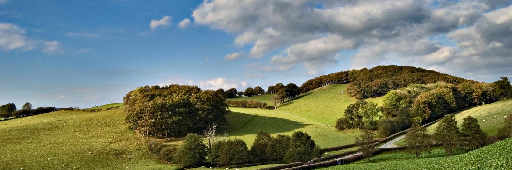 The best available hotels & places to stay near Brechfa - Brechfa hotels