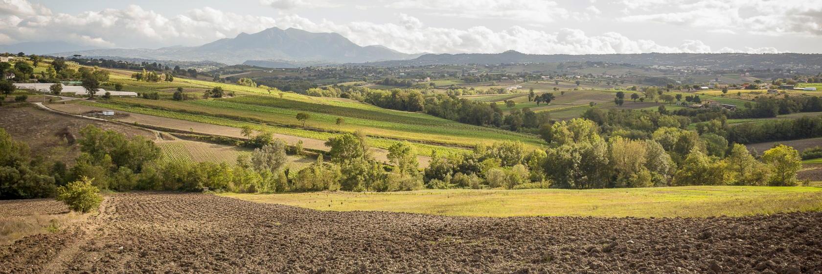 The best available hotels & places to stay near Apice, Italy