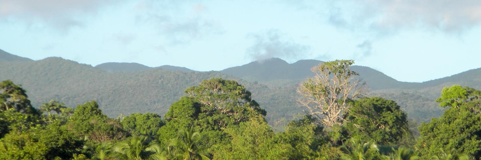 The 10 best hotels & places to stay in Lamentin, Guadeloupe - Lamentin ...