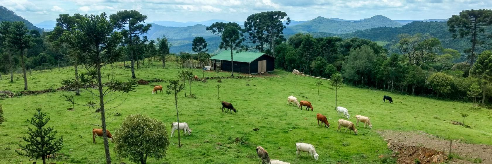 The 10 best hotels & places to stay in Urupema, Brazil - Urupema hotels