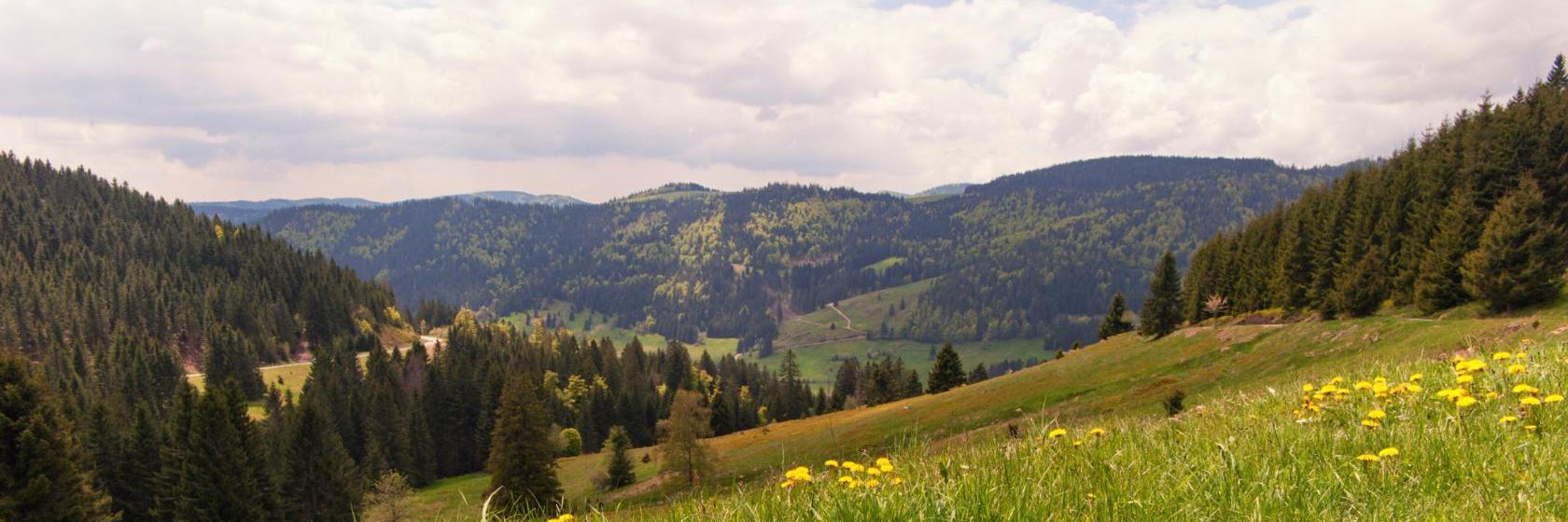 The best available hotels & places to stay near Gersbach, Germany