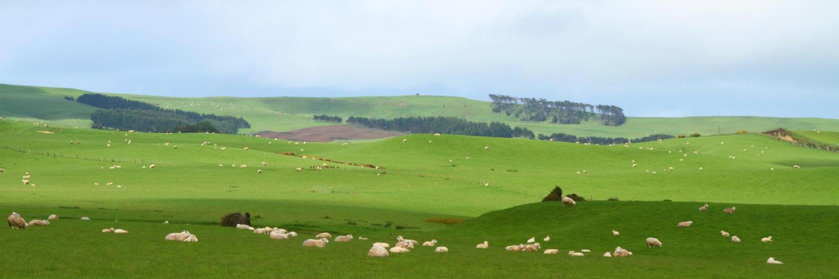 The 10 best hotels & places to stay in Owaka, New Zealand - Owaka hotels