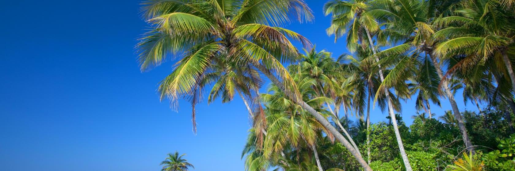 The best available hotels & places to stay near Gemanafushi, Maldives