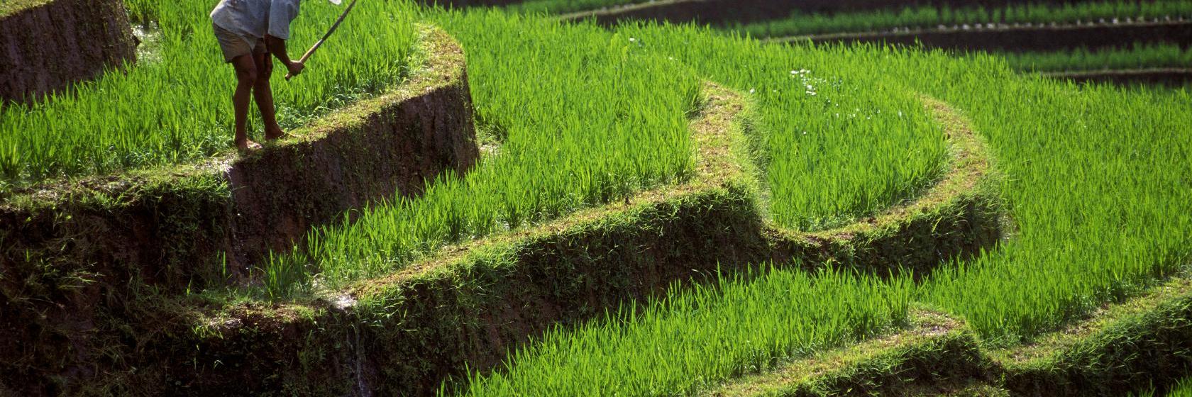 10 Best Saba Hotels, Indonesia (From $46)