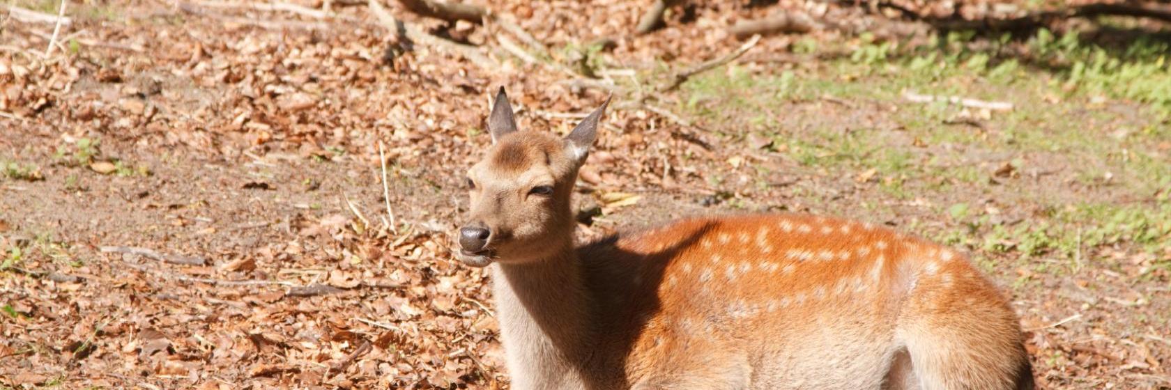 The best available hotels & places to stay near Vandel, Denmark