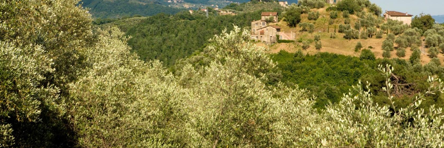 The 10 best hotels & places to stay in Porcari, Italy - Porcari hotels