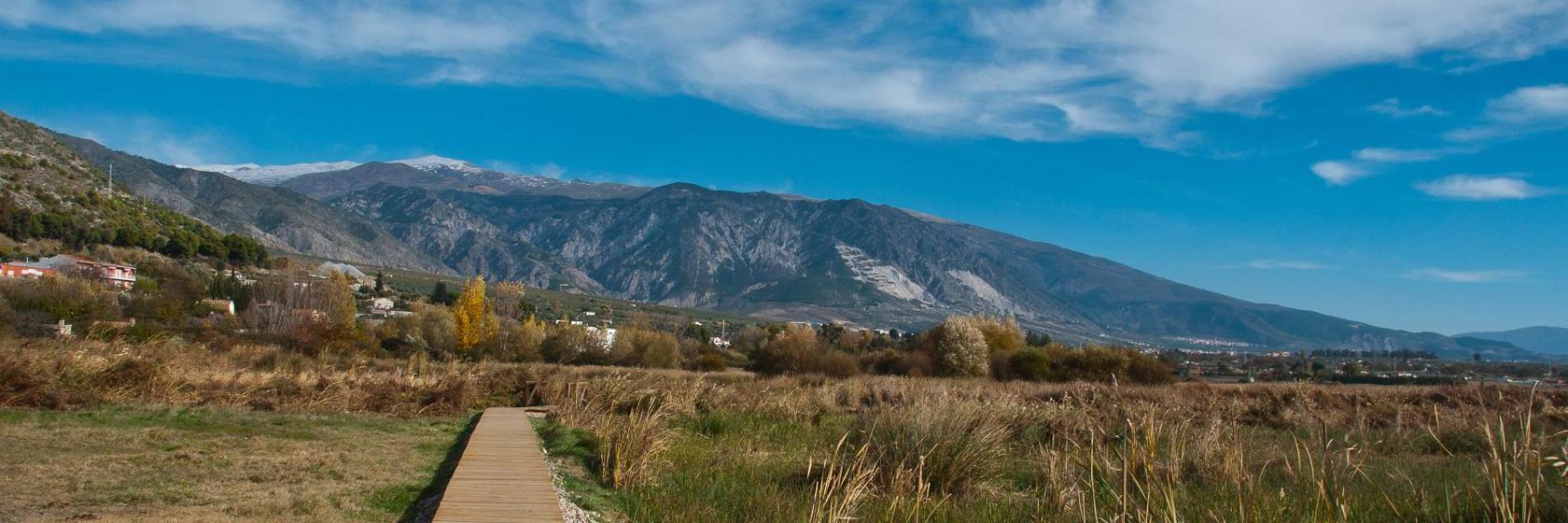 Los 10 mejores hoteles de El Padul (desde € 93)