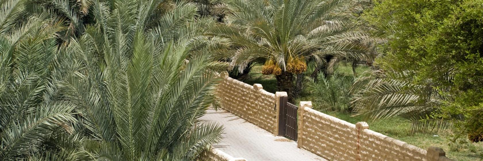 The best available hotels & places to stay near Al Khaznah, United Arab ...