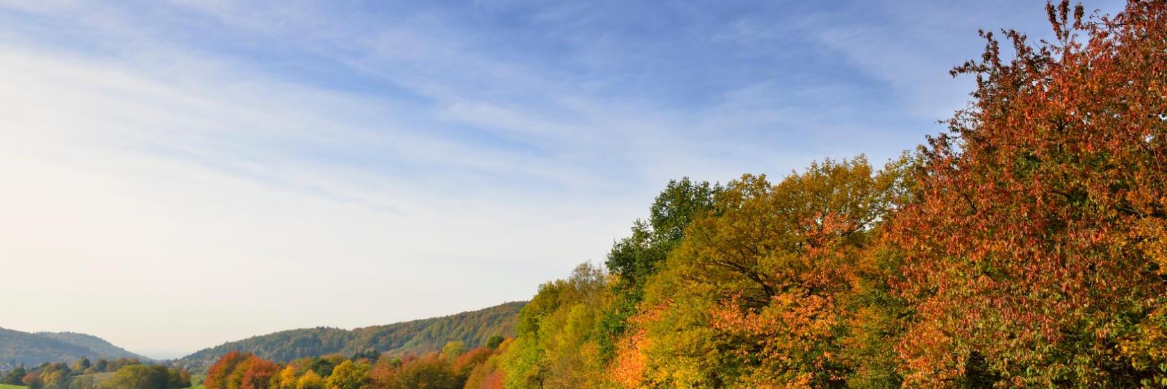 The best available hotels & places to stay near Ringheim, Germany