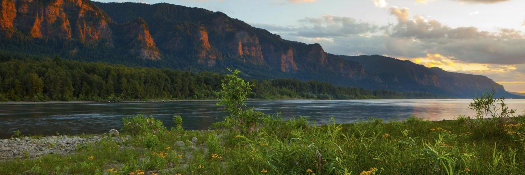 The 10 Best Carson Hotels (From $114)