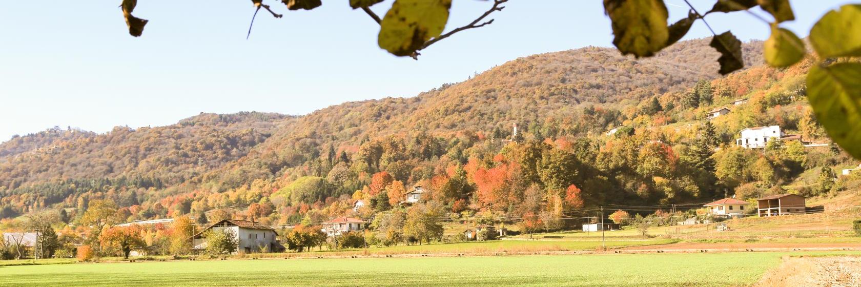 The 10 best hotels & places to stay in Busca, Italy - Busca hotels