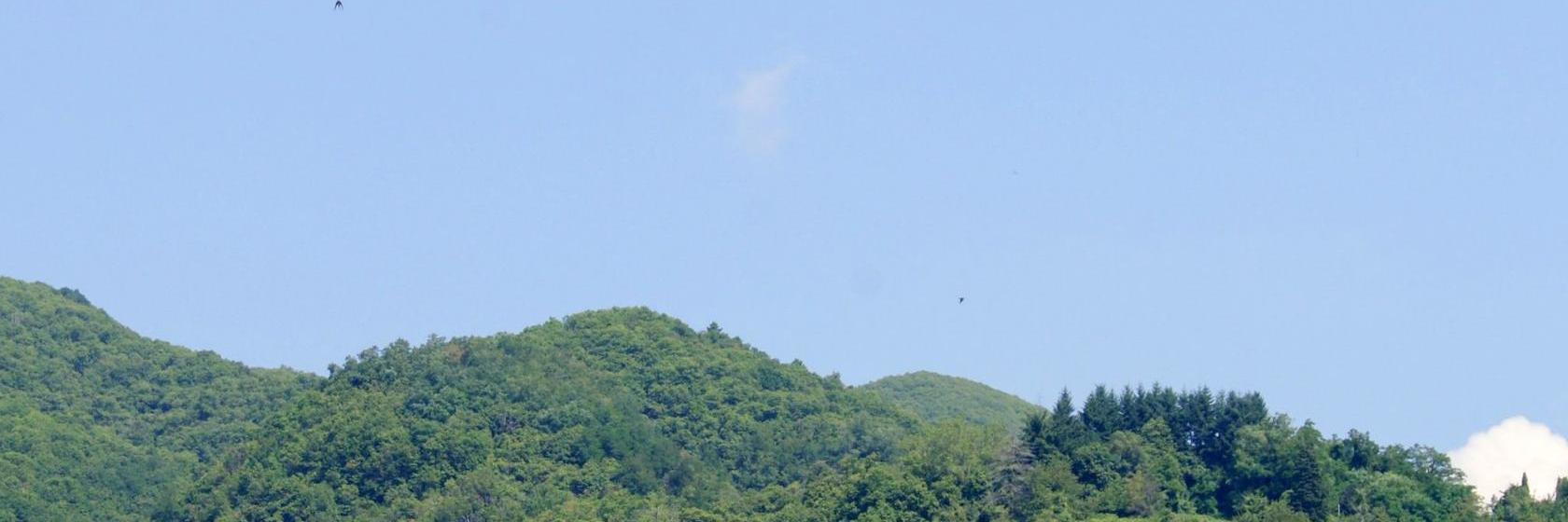 I 10 migliori hotel di Pescaglia (da € 80)