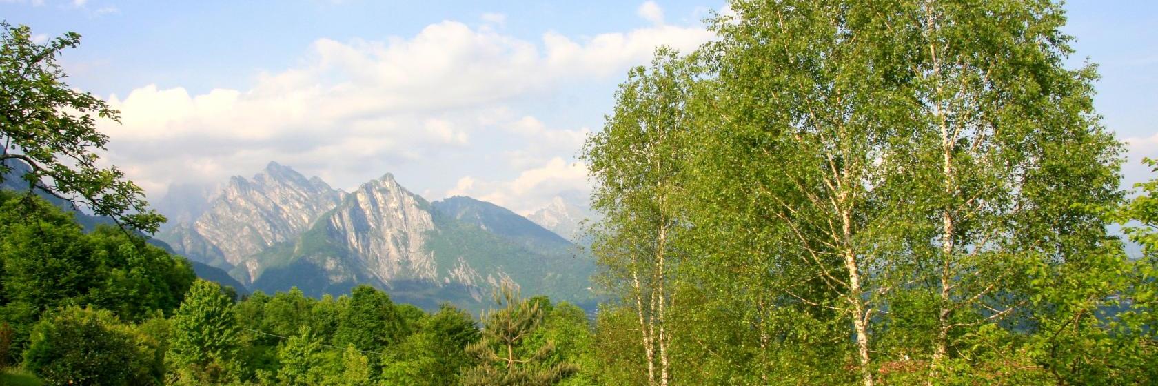 10 hoteles baratos en Sospirolo, Italia - Dónde dormir en Sospirolo