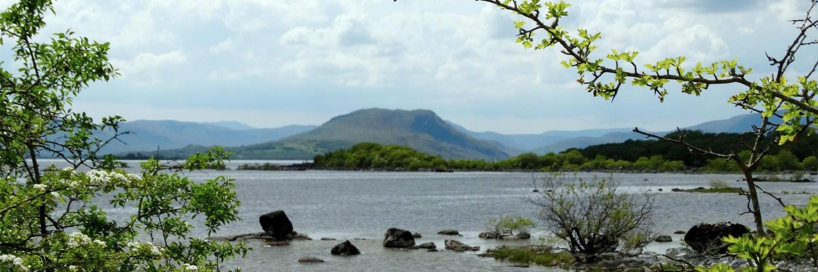 The 10 best hotels near Partry House in Ballinrobe, Ireland