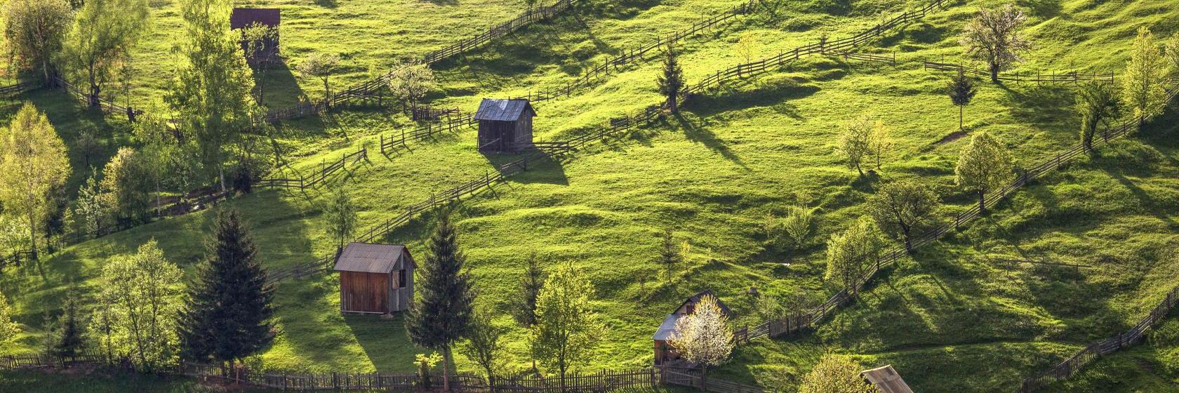 The 10 best hotels & places to stay in Sadova, Romania - Sadova hotels