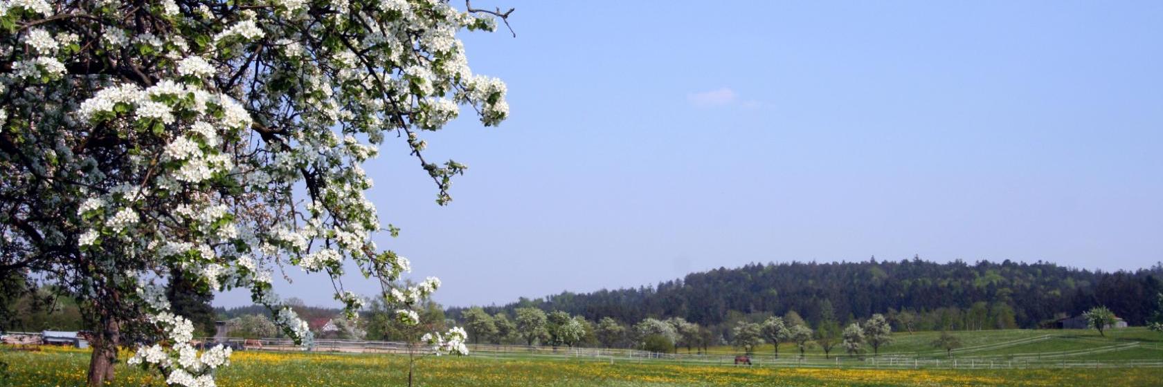 The 10 best hotels & places to stay in Mühlacker, Germany – Mühlacker ...