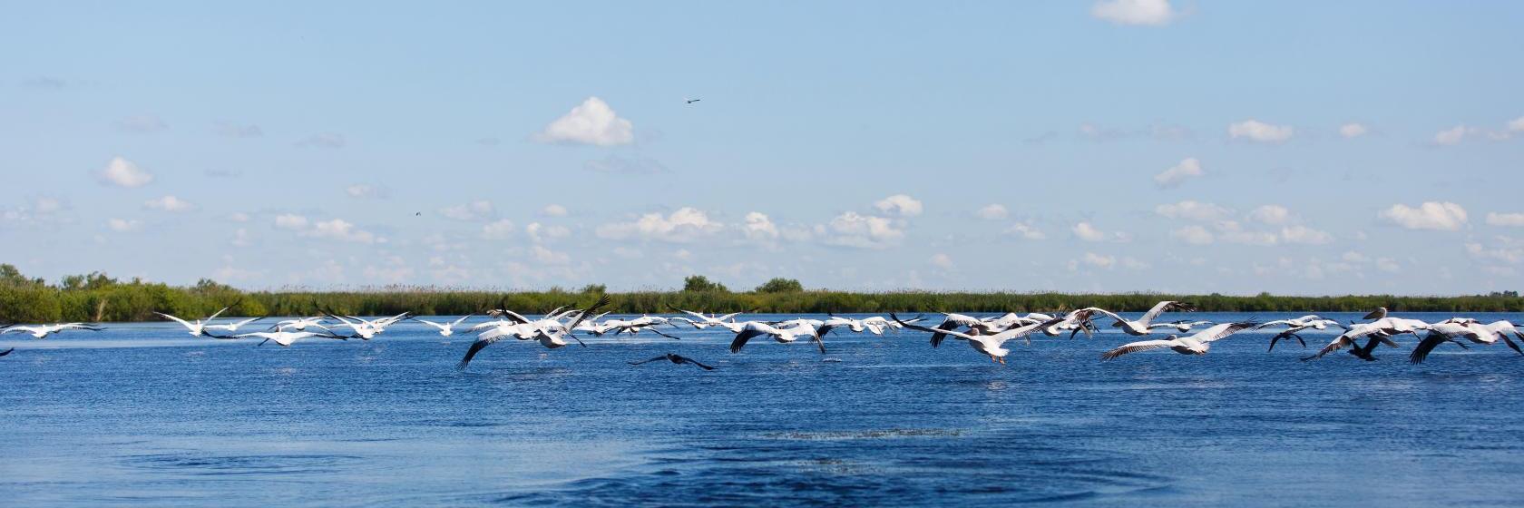 The 10 best hotels & places to stay in Maliuc, Romania - Maliuc hotels