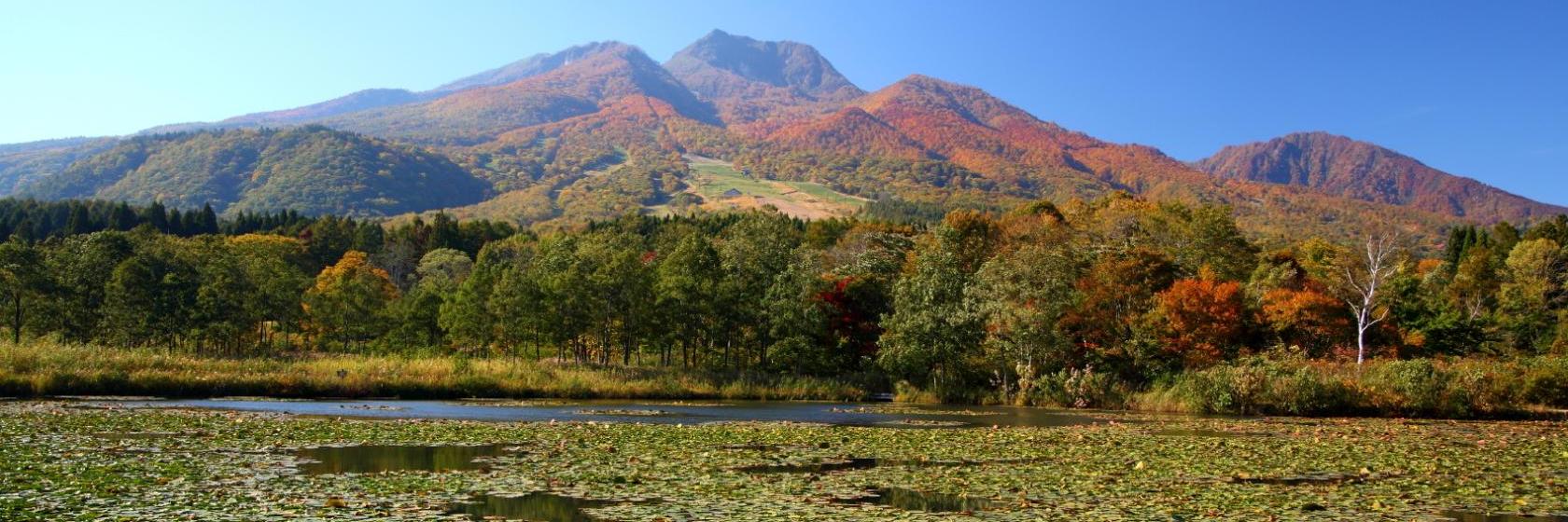 The 10 best hotels & places to stay in Shinano, Japan - Shinano hotels