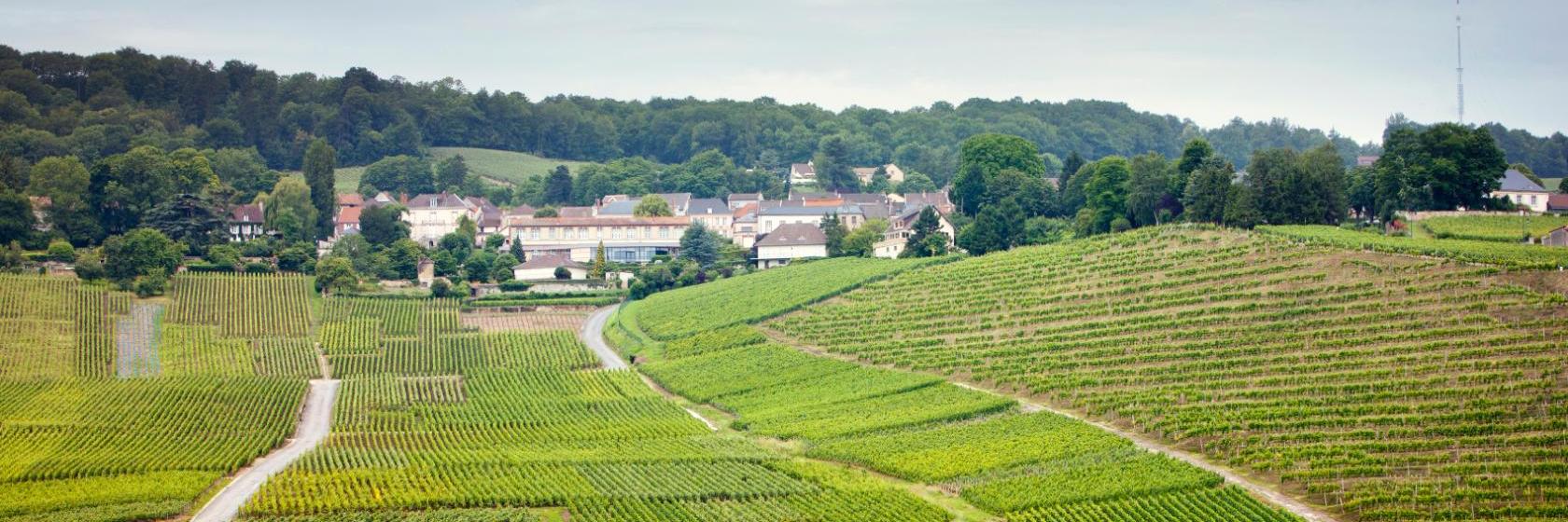 Hôtels à Binson-et-Orquigny. Hôtels avec Meilleur Prix Garanti ...