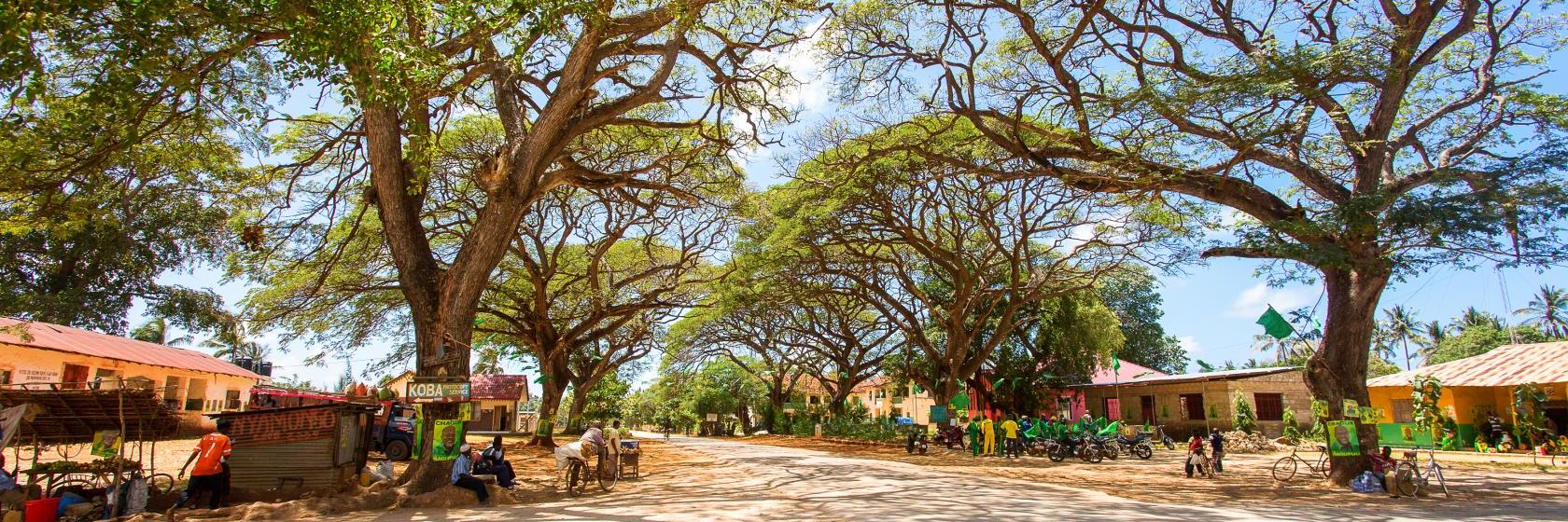 The 10 best hotels & places to stay in Makunduchi, Tanzania ...