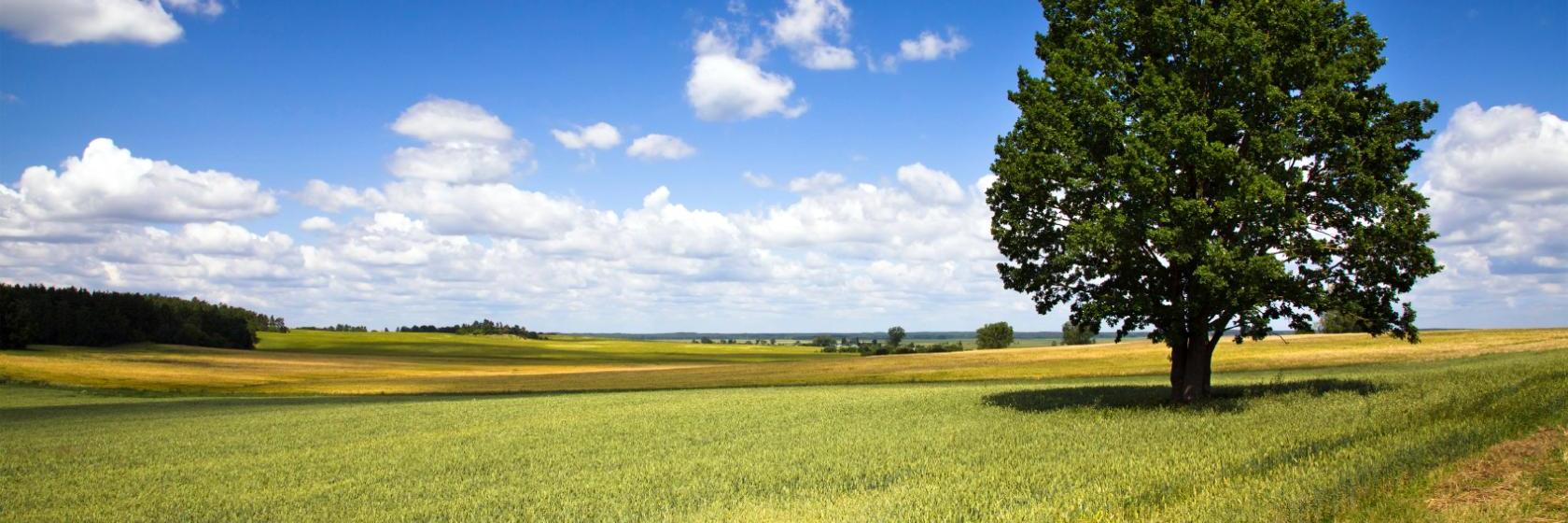 The 10 best hotels & places to stay in Ebern, Germany - Ebern hotels