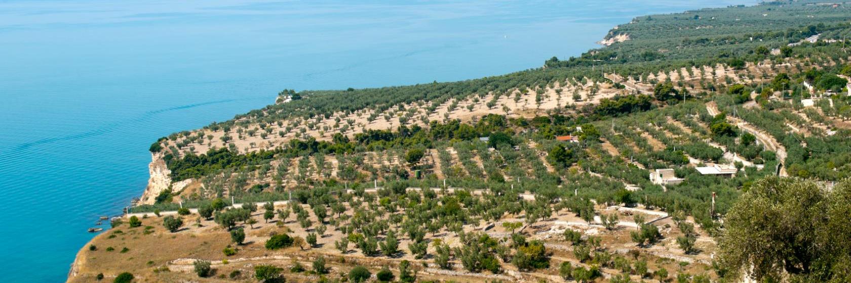 The 10 best hotels & places to stay in San Severo, Italy - San Severo ...