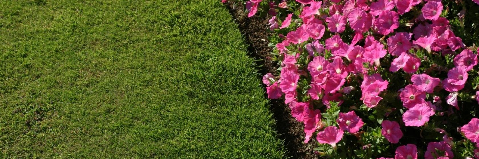 Hôtels à Floure. Hôtels avec Meilleur Prix Garanti ! - Booking.com